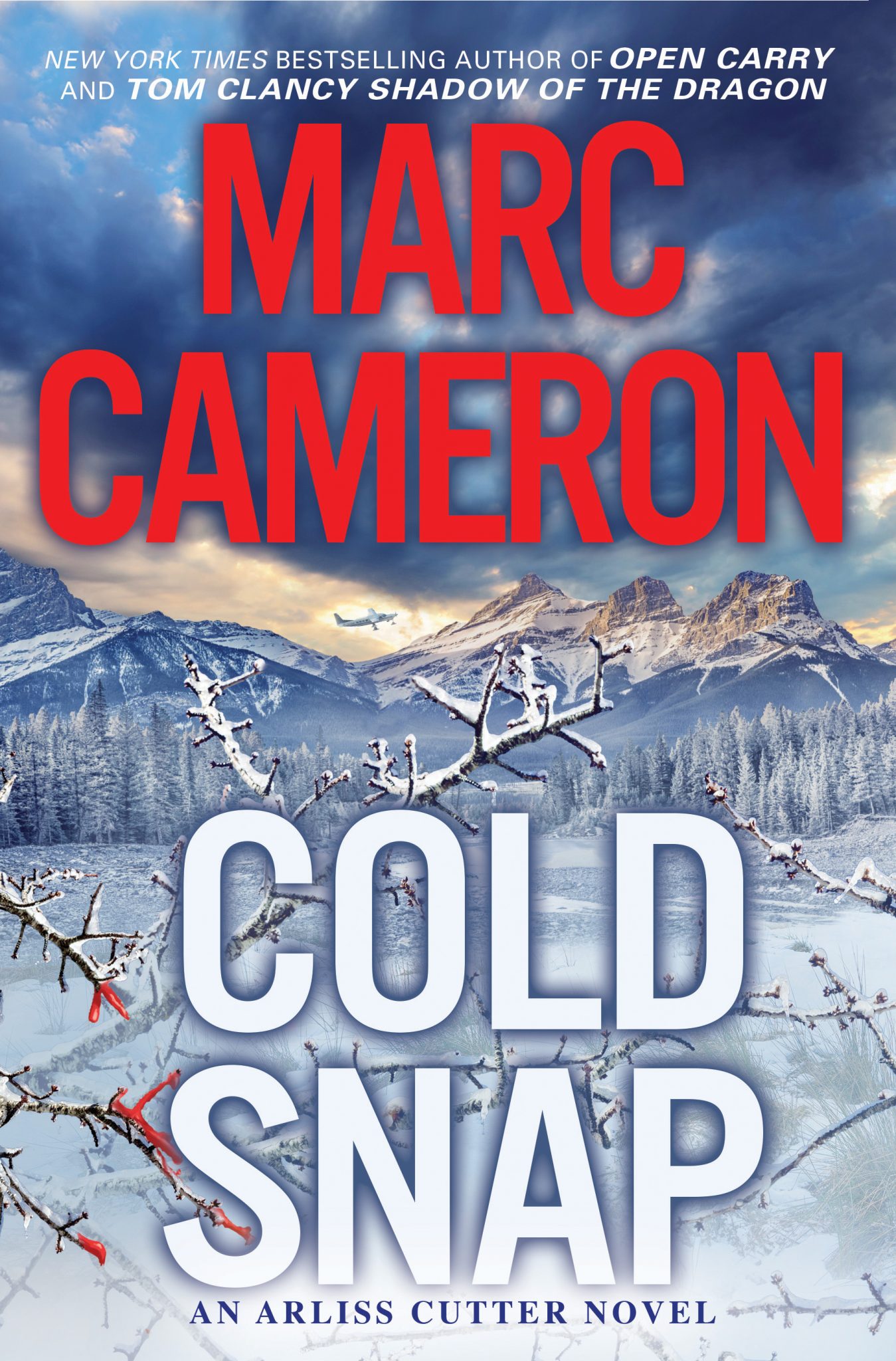 Books Archive - Marc Cameron